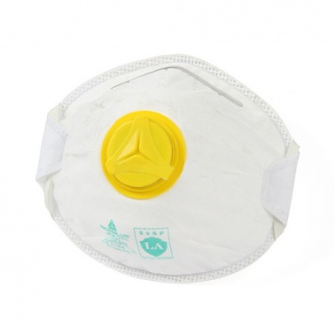 Delta Plus M1200VSC N95 Disposable Respirator Face Mask with Valve FFP2 ...