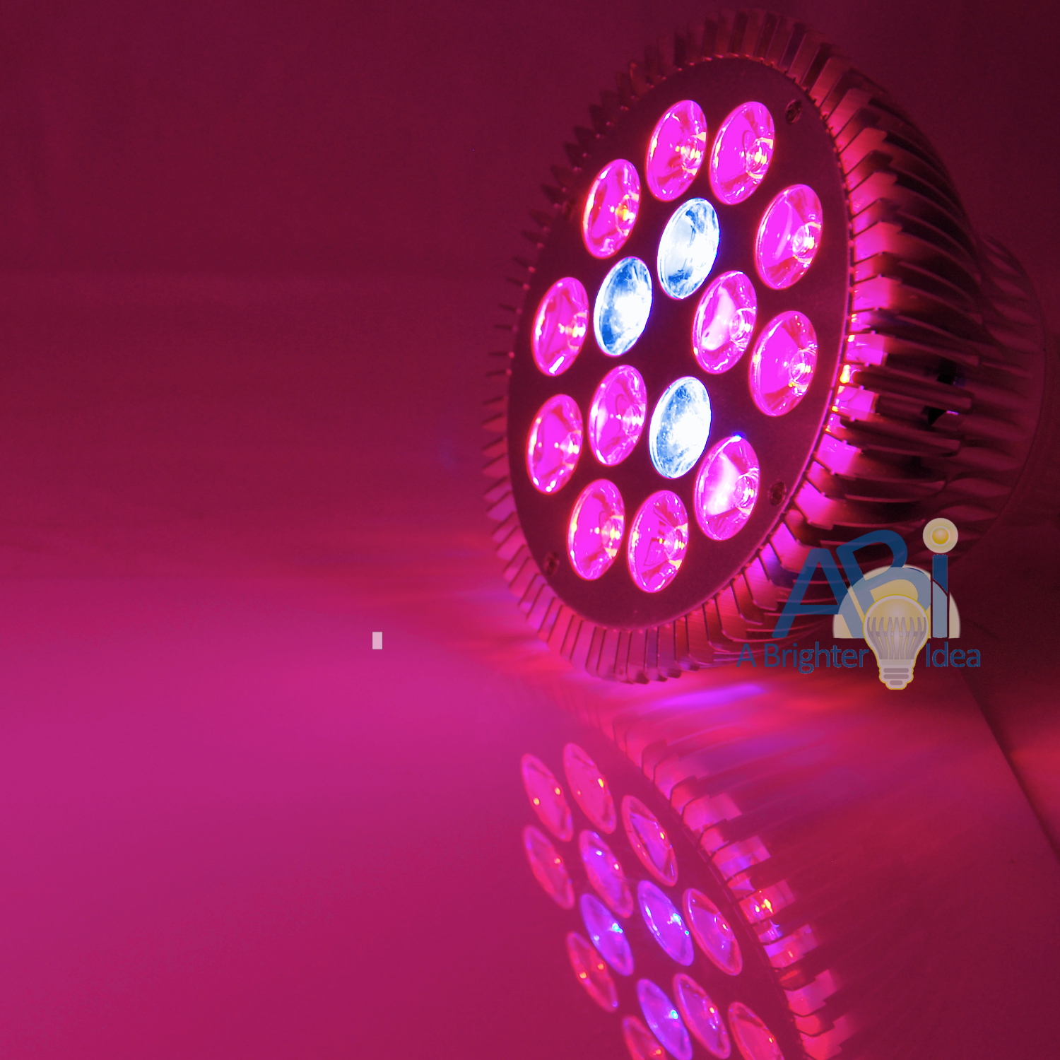 ABI High Power 15W LED Grow Light Bulb - Red & Blue - $29.95 ...